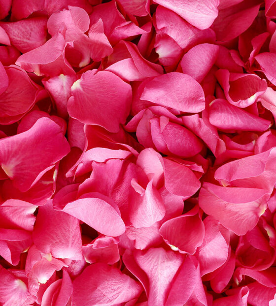 5 Fresh Rosey Face Mask Recipes that Anyone Can Prepare